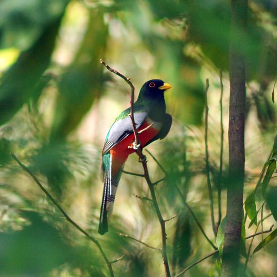 Tours in Nicaragua - Come discover the beautiful Nicaragua!